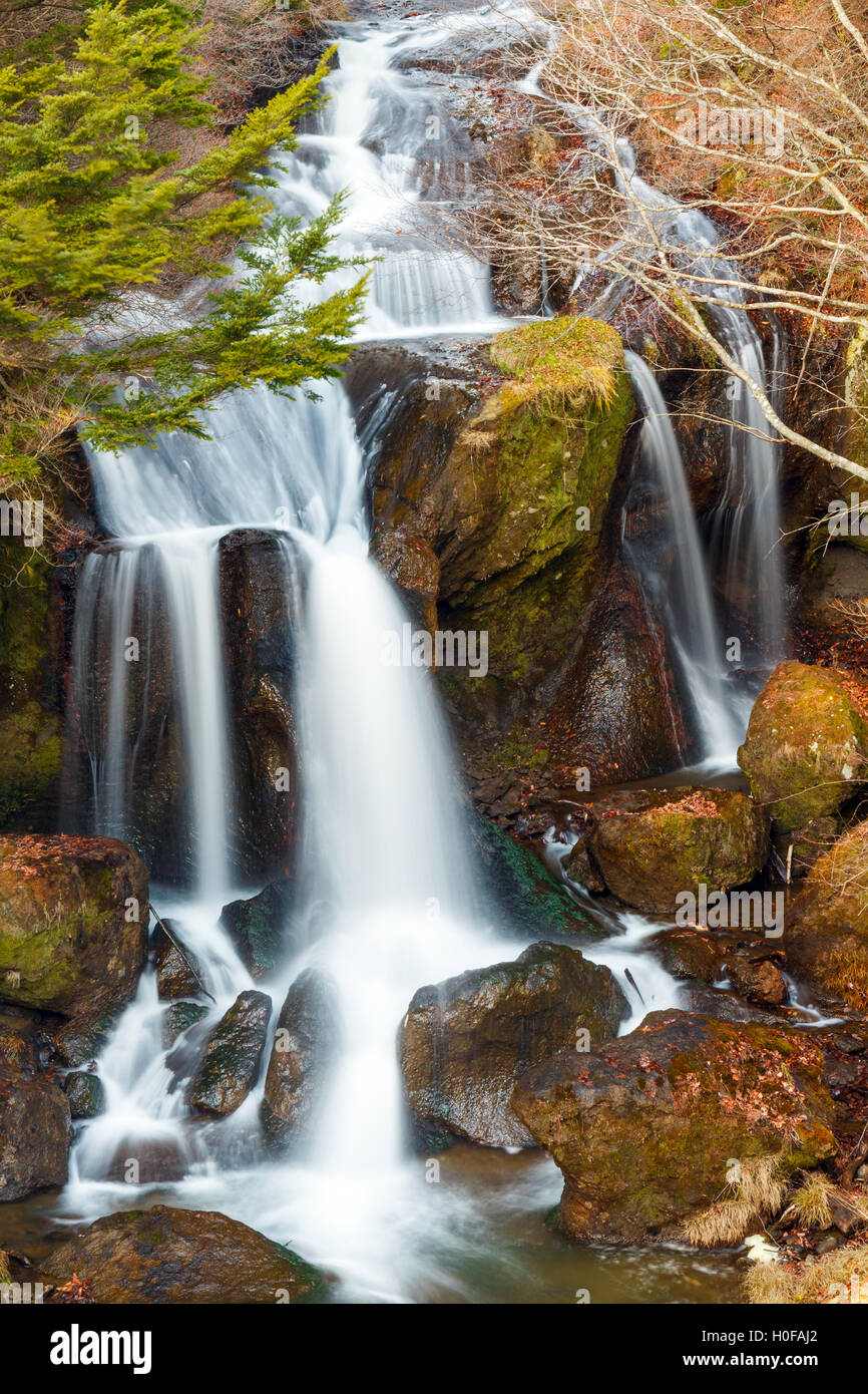 Waterfall in forest Stock Photo - Alamy