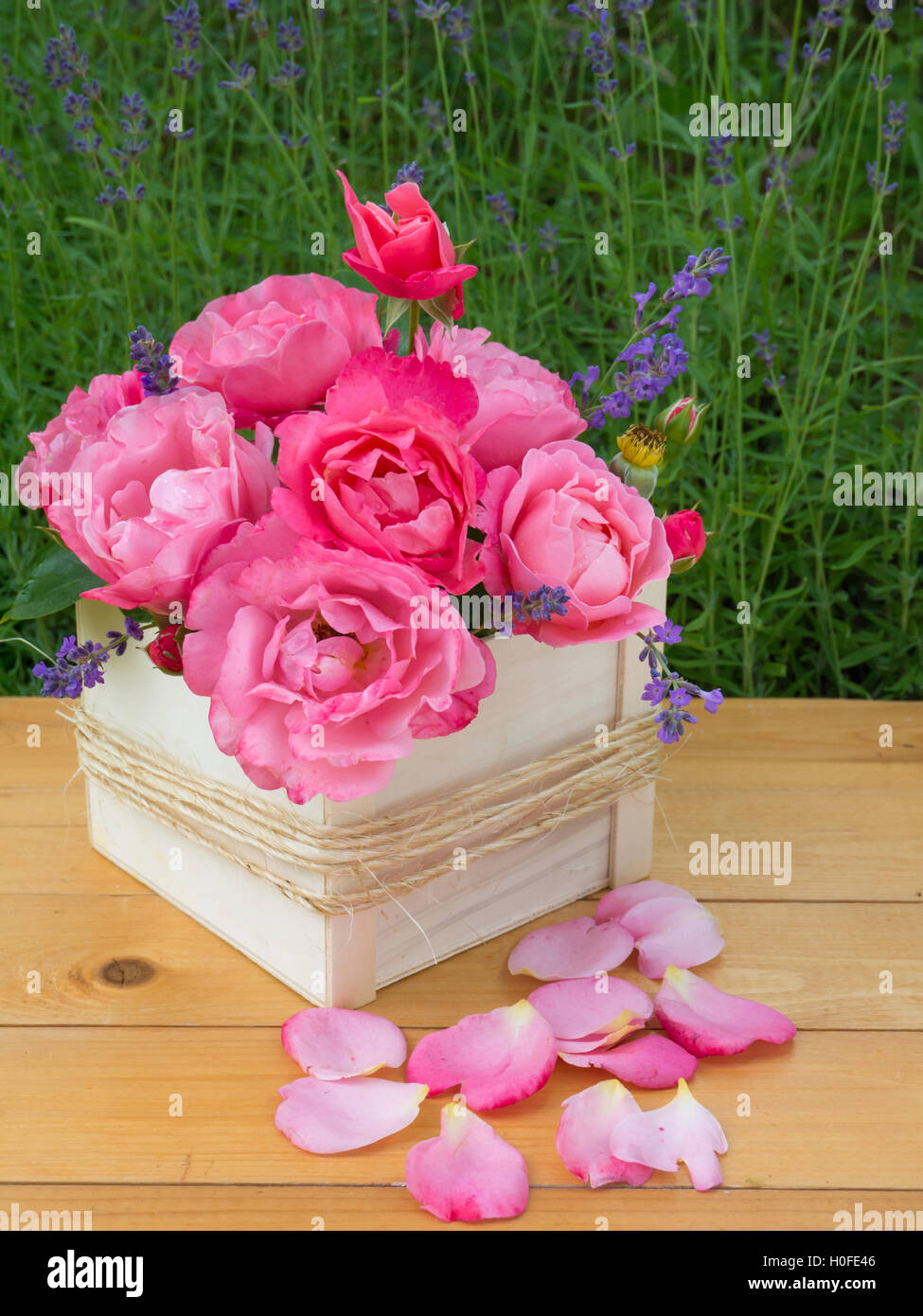 Garden box and lavender hi-res stock photography and images - Alamy