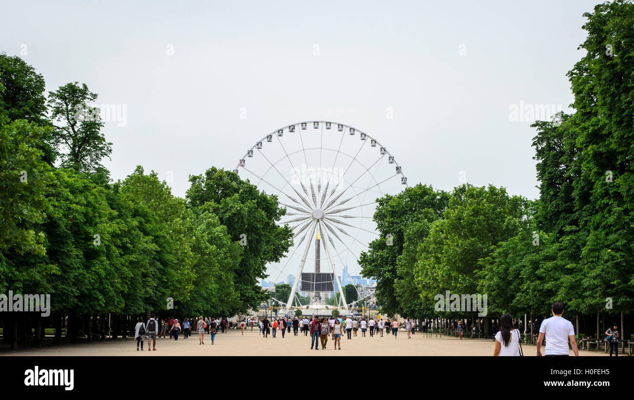 statue horse roman france paris ferris wheel old Stock Photo - Alamy