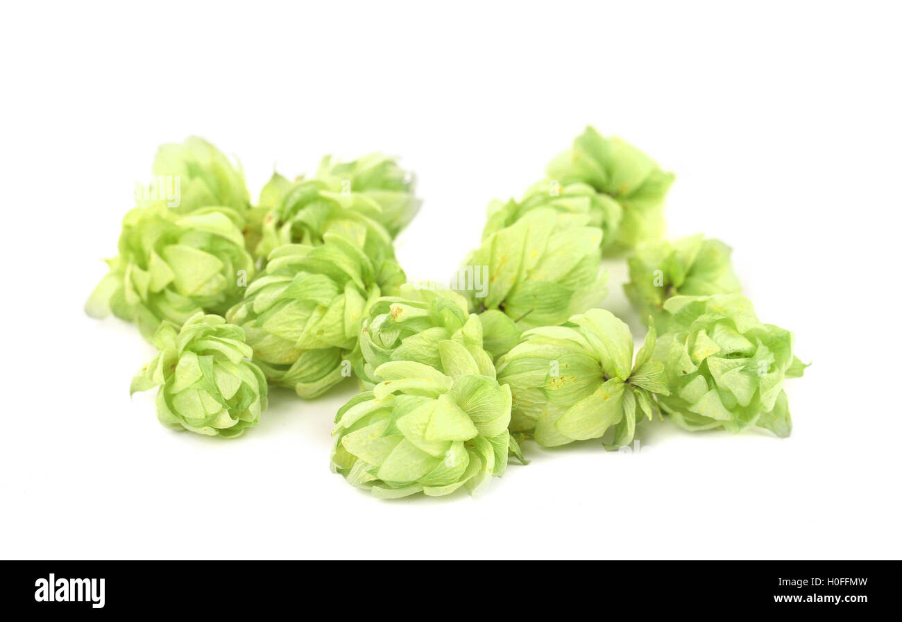 Hop seed Cut Out Stock Images & Pictures - Alamy