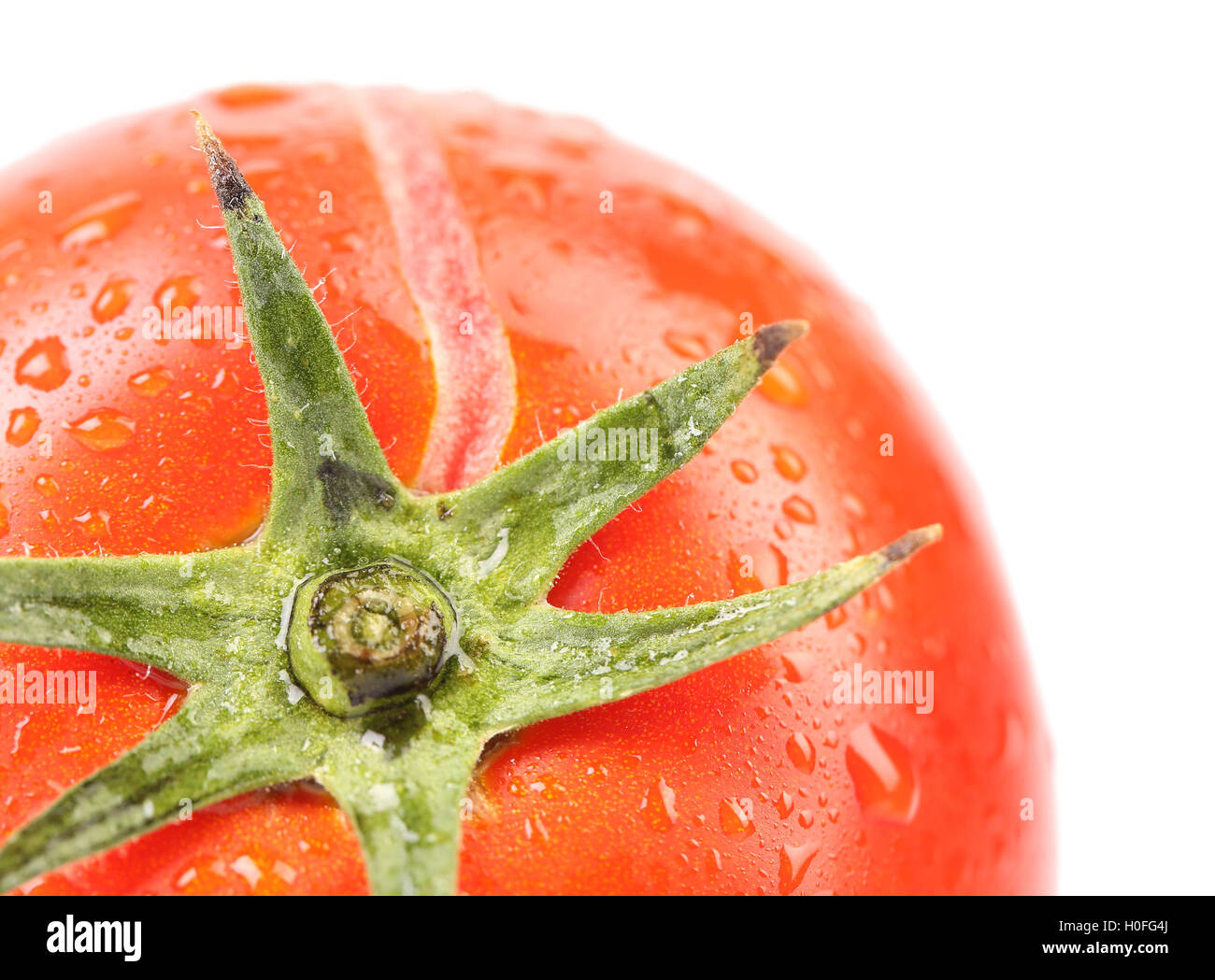 Background of tomato with water drops Stock Photo - Alamy