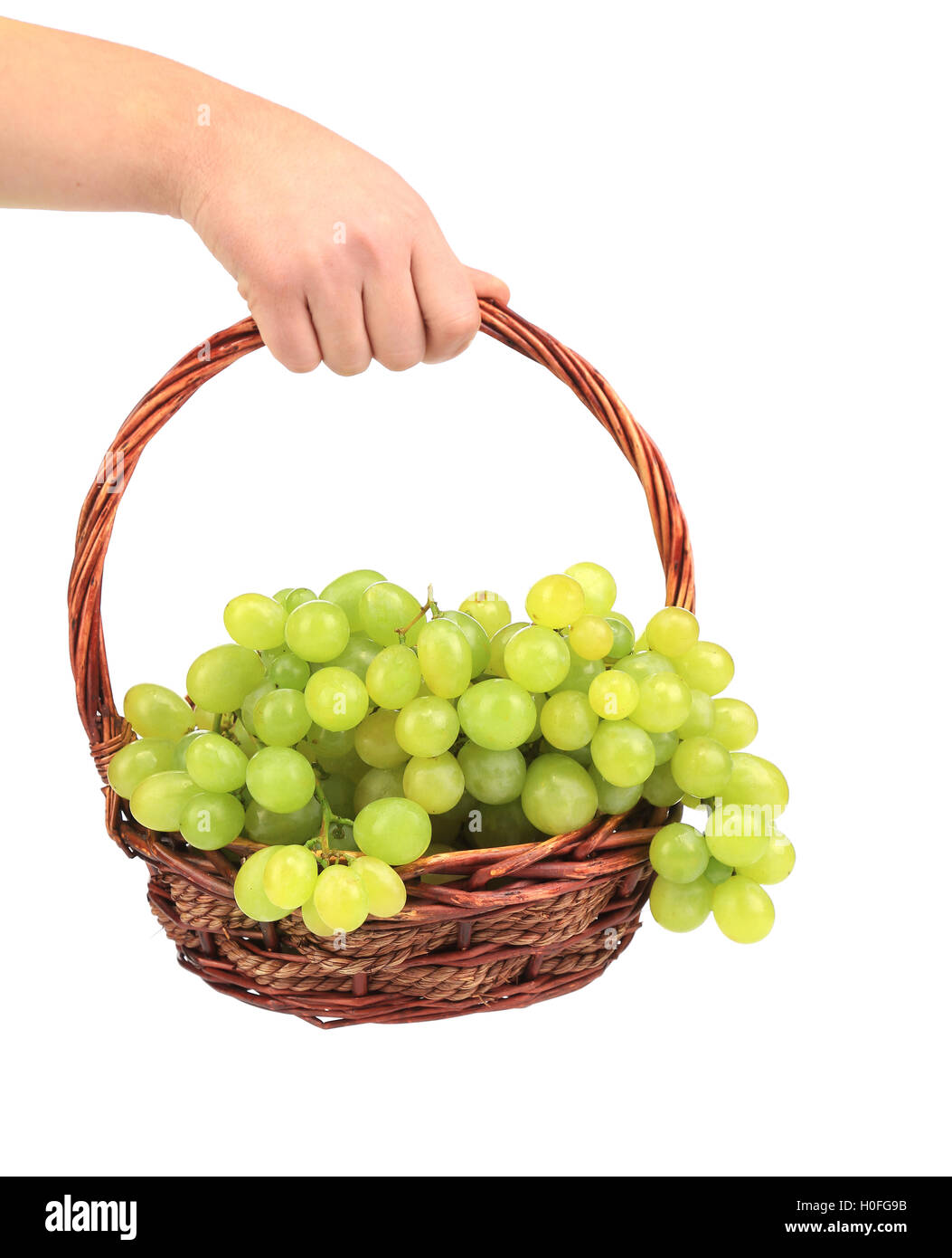Hand holds white grapes in basket Stock Photo - Alamy