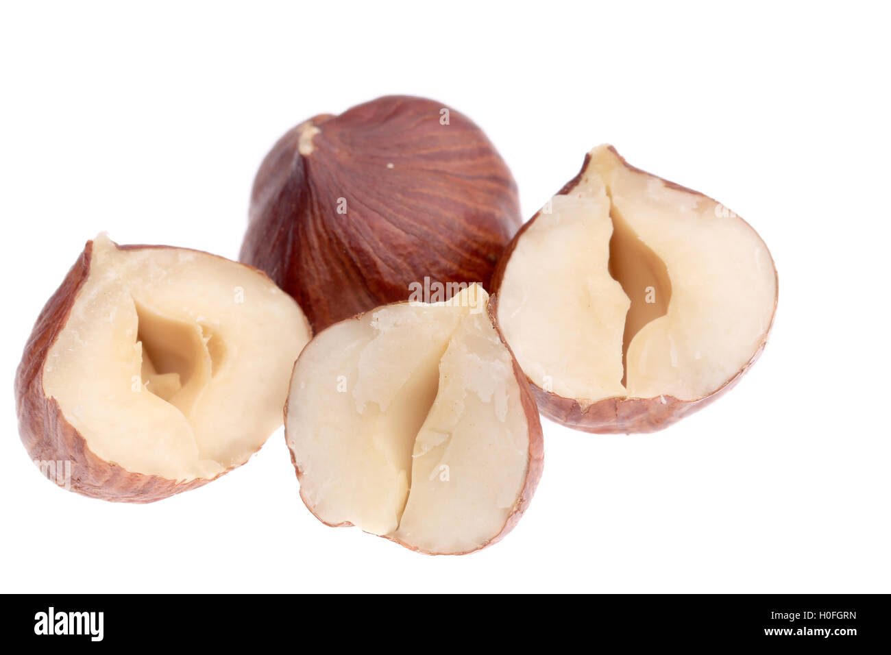 Filbert nut tree hi-res stock photography and images - Alamy