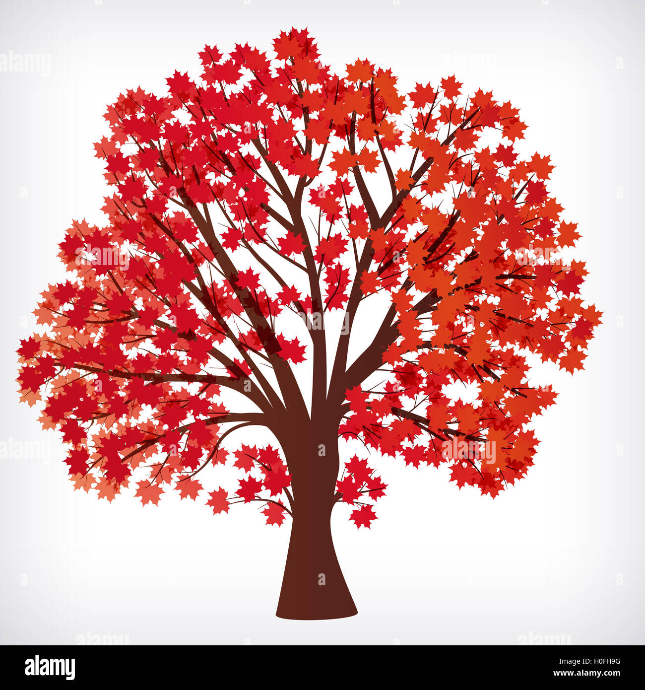 abstract background, maple tree with branches made of autumn lea Stock ...