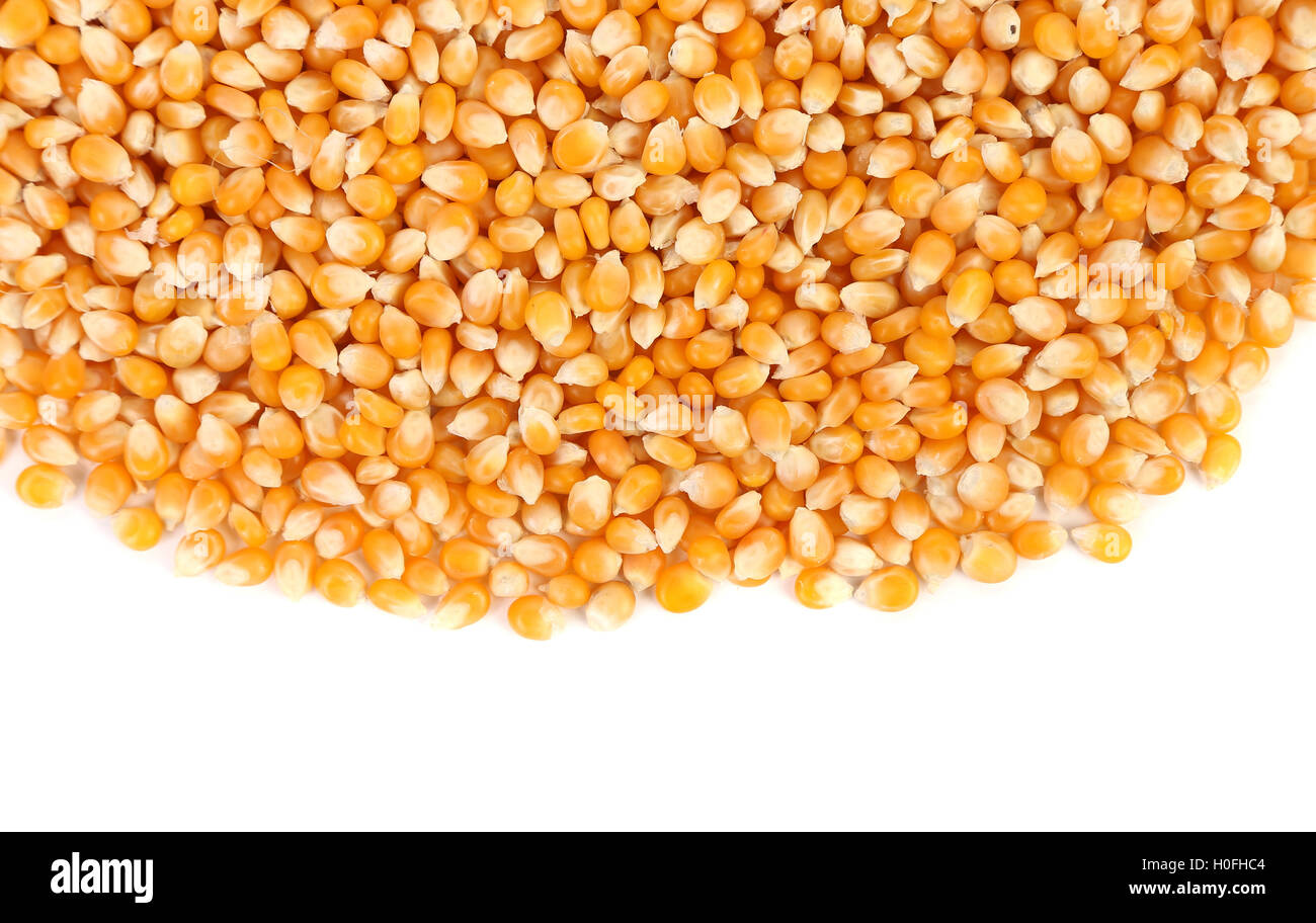 Close up of corn grains Stock Photo - Alamy