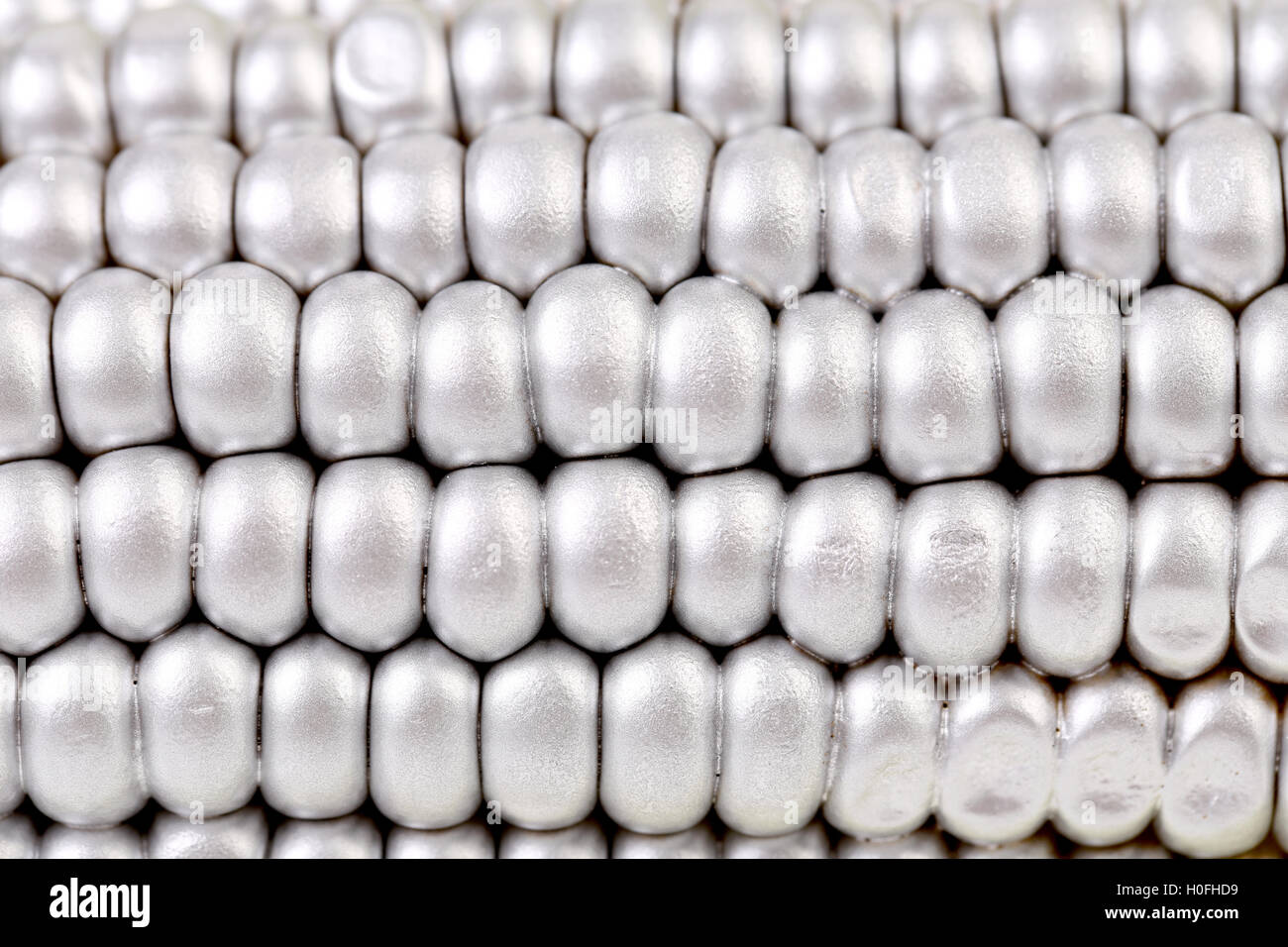 Background of silver indian corn Stock Photo - Alamy
