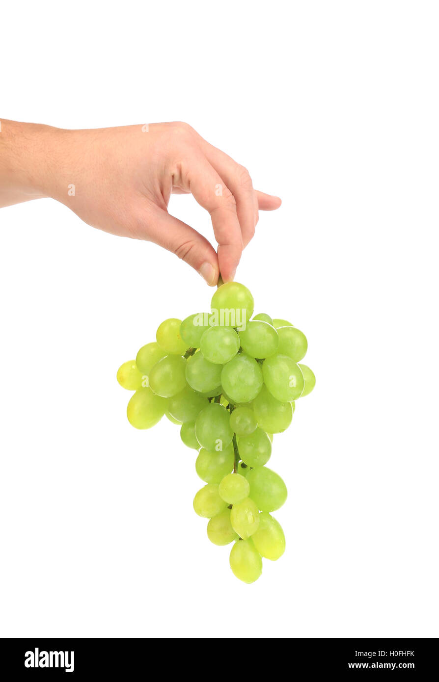 Green ripe grapes in hand Stock Photo - Alamy
