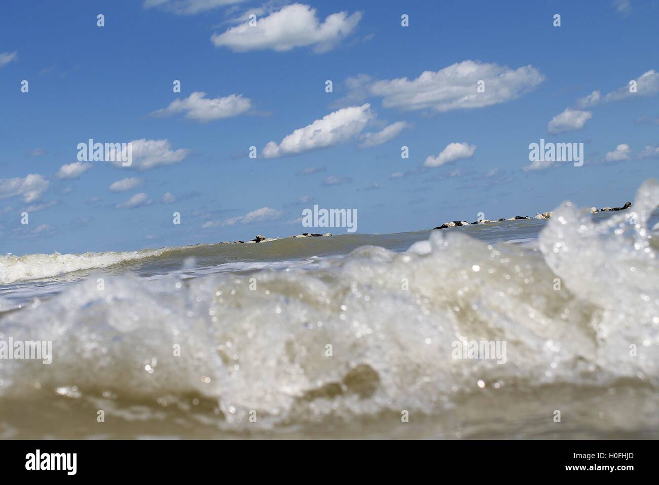 landscape of the Adriatic sea in Italy Stock Photo - Alamy