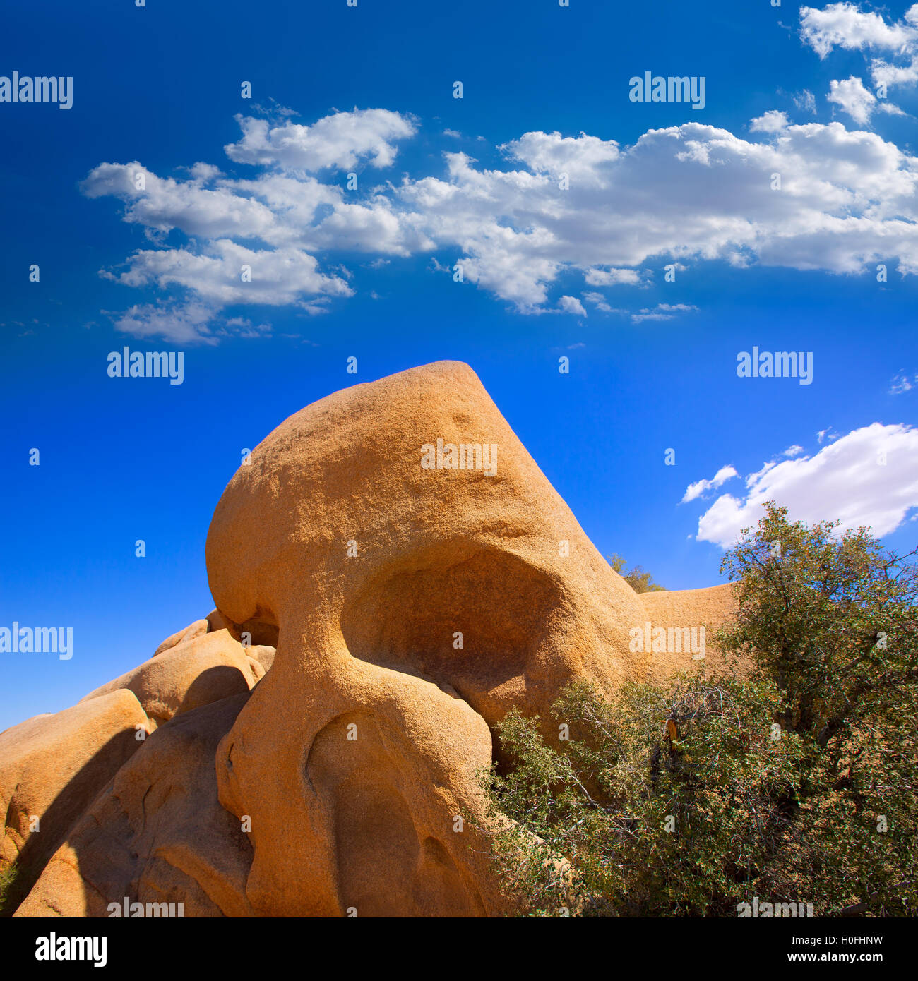 Skull rock in Joshua tree National Park Mohave California Stock Photo ...