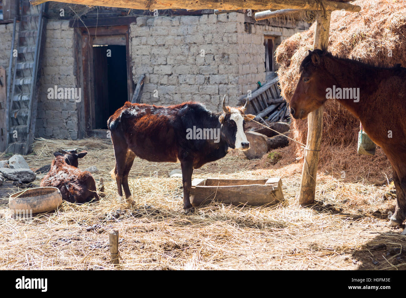 Small village farming community hi-res stock photography and images - Alamy