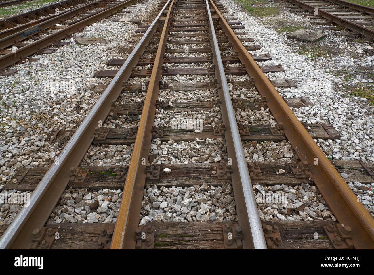 multiple railroad tracks going off in the distance Stock Photo - Alamy