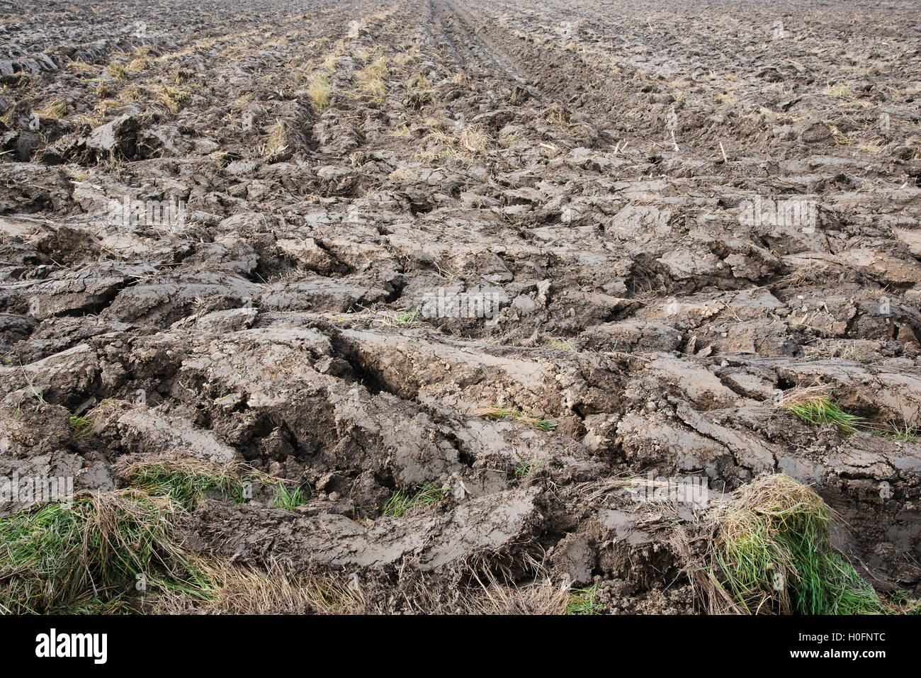 close up of a freshly plowed field Stock Photo - Alamy