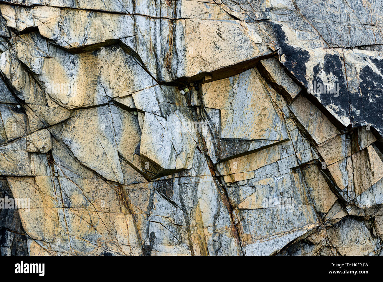 Abstract section of a rock formation at Perryn Sands Stock Photo - Alamy