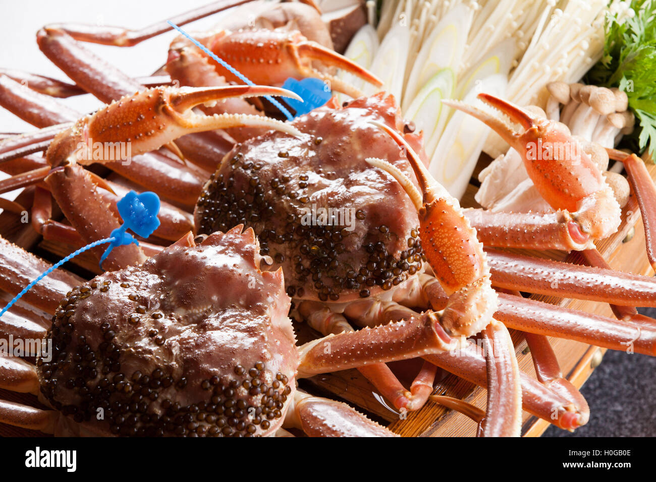 Norway red king crab hi-res stock photography and images - Alamy