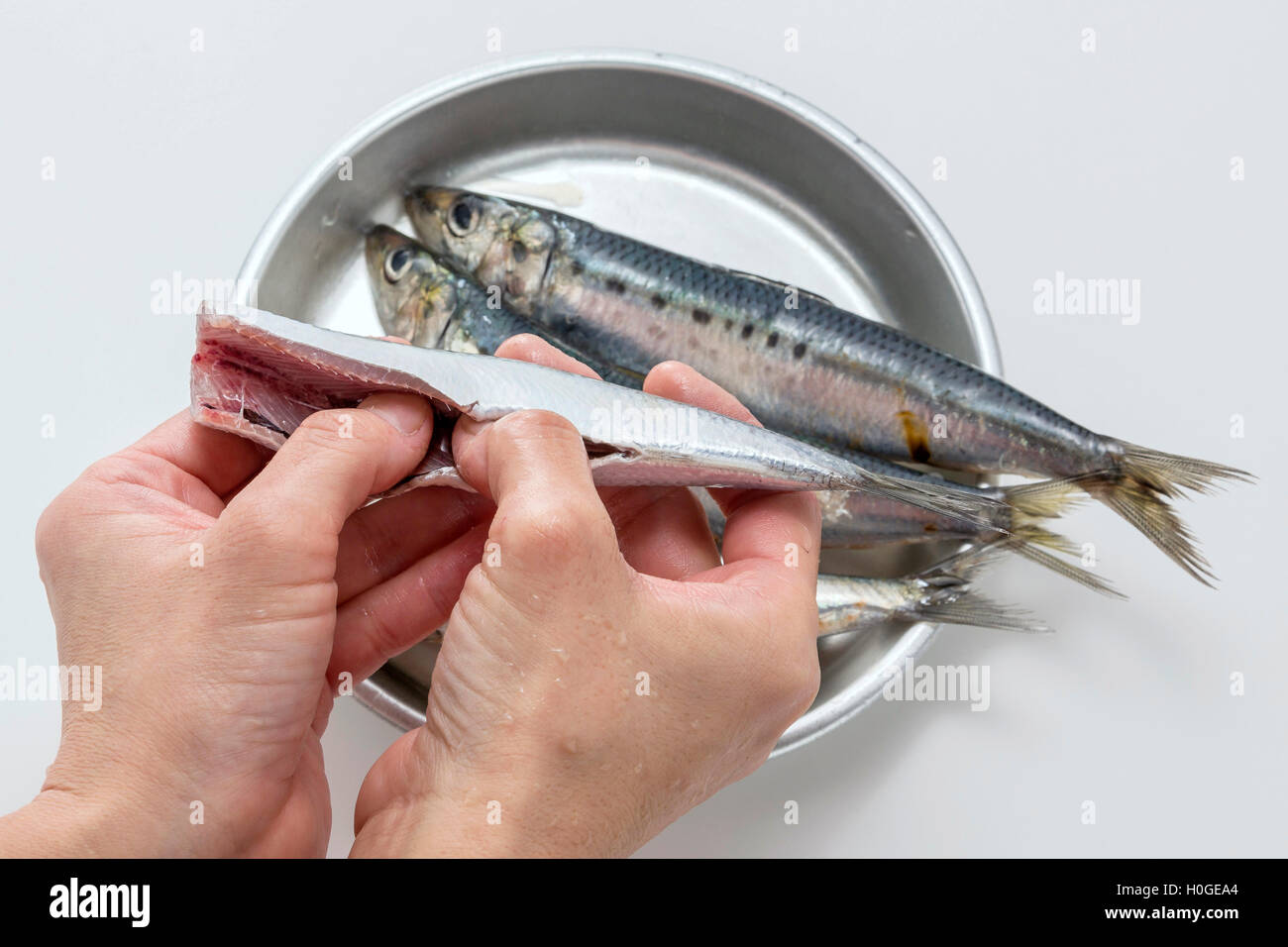 Gutting fresh raw sardine fish by hands in the kitchen Stock Photo - Alamy