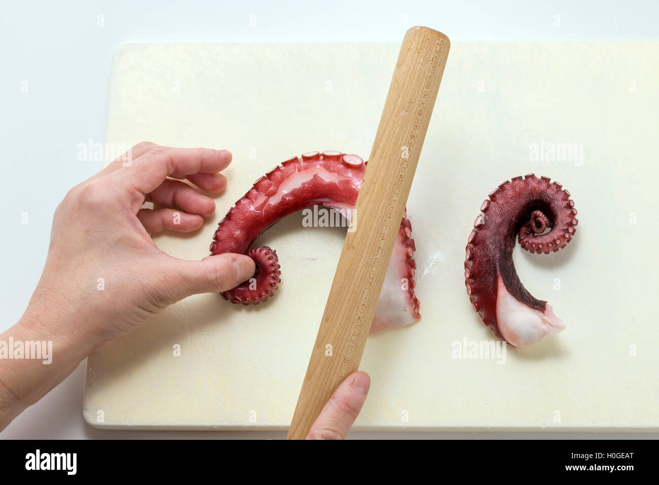 Octopus foot hi-res stock photography and images - Alamy