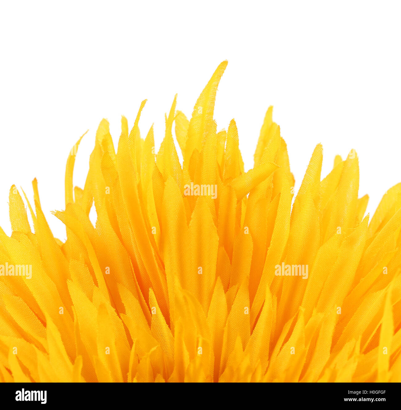 Close up of yellow flower petals Stock Photo - Alamy
