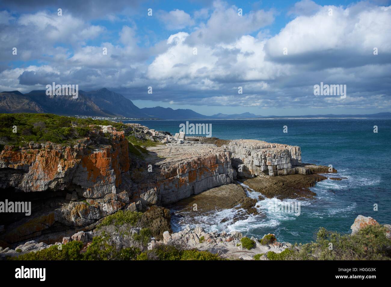 Hermanus south africa whale hi-res stock photography and images - Alamy