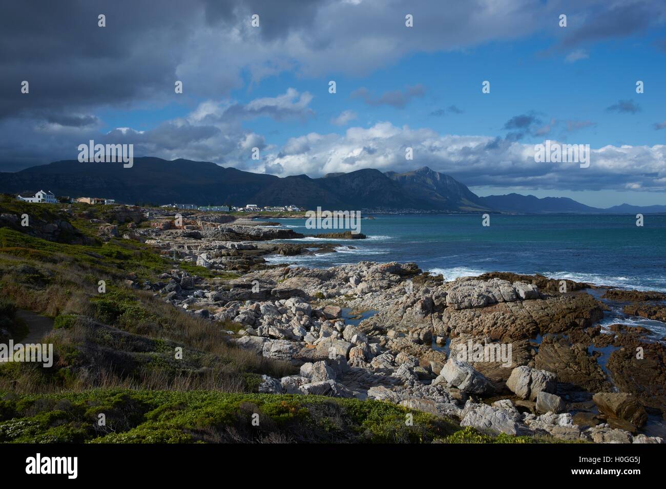 Hermanus south africa whale hi-res stock photography and images - Alamy