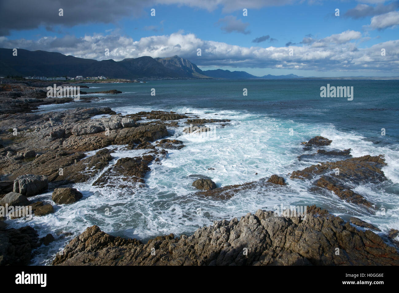 Hermanus south africa whale hi-res stock photography and images - Alamy