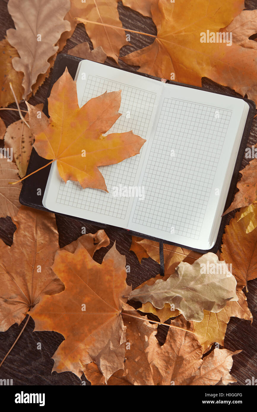 Sketchbook leaf hi-res stock photography and images - Alamy