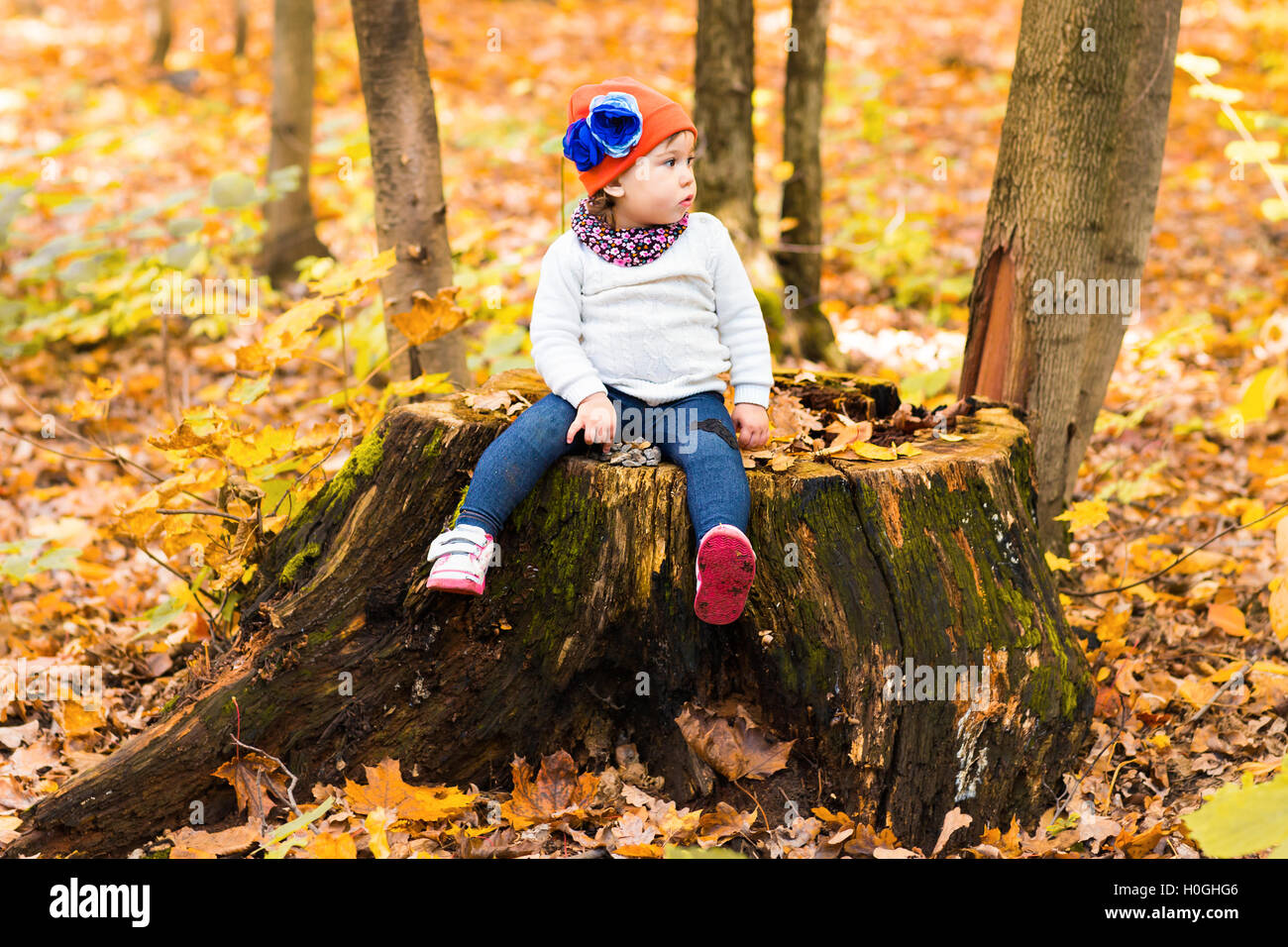 Cute baby girl in the autumn forest Stock Photo - Alamy