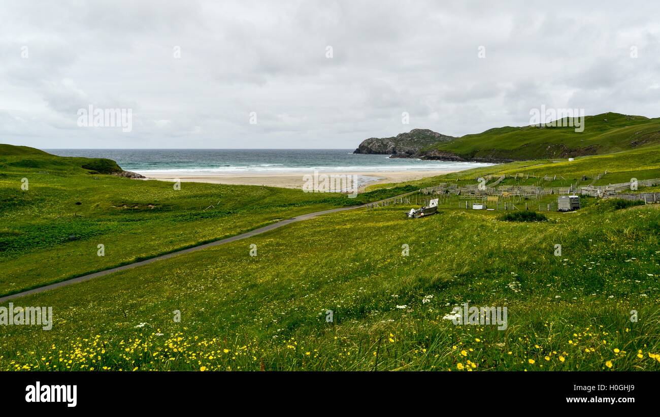 Camas road hi-res stock photography and images - Alamy