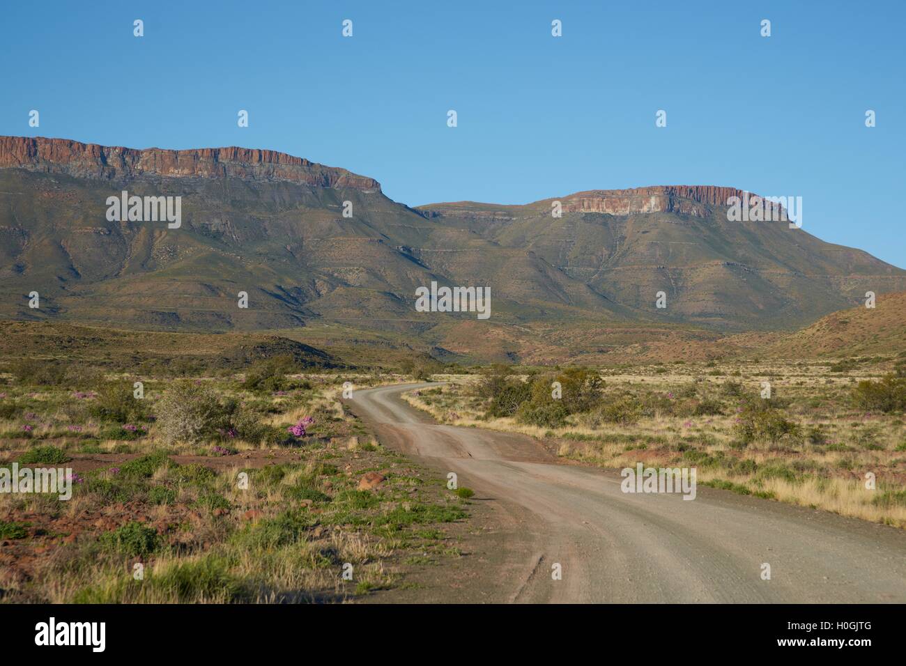 Karoo National Park Stock Photo - Alamy