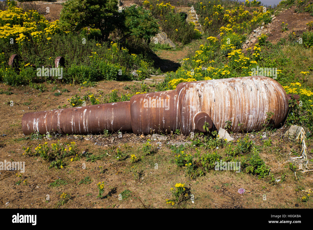Victorian artillery defences on Flat Holm island. 7 inch gun Stock ...