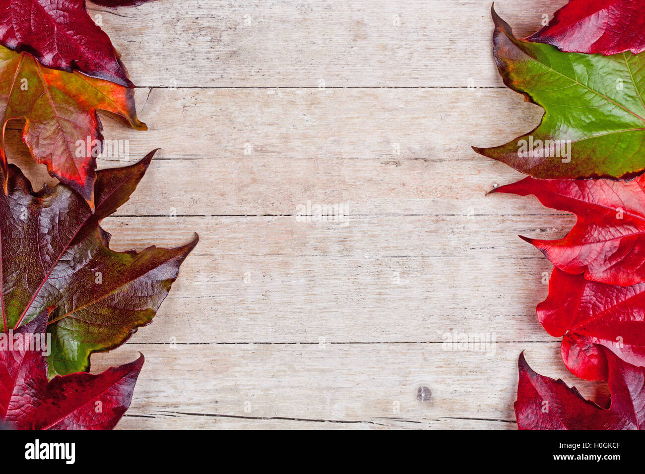 frame of autumn leaves Stock Photo - Alamy