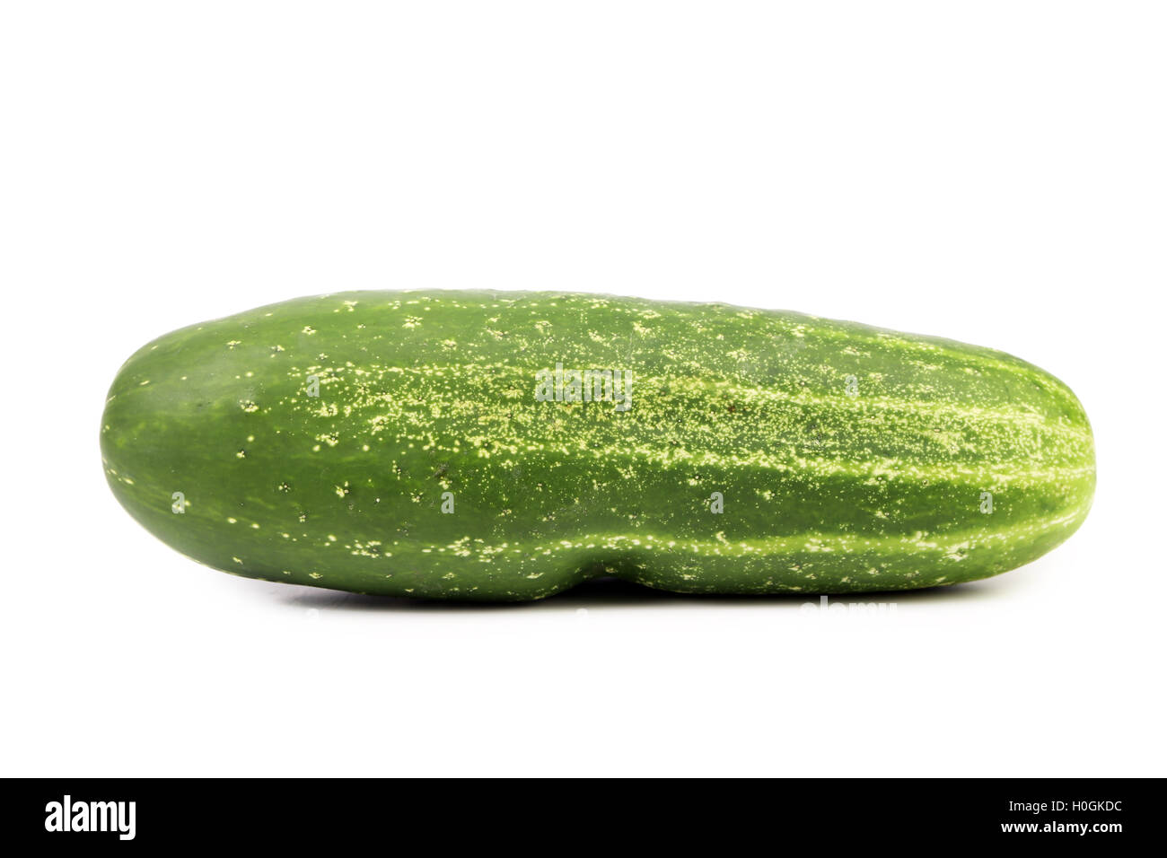 Single green cucumber Stock Photo - Alamy
