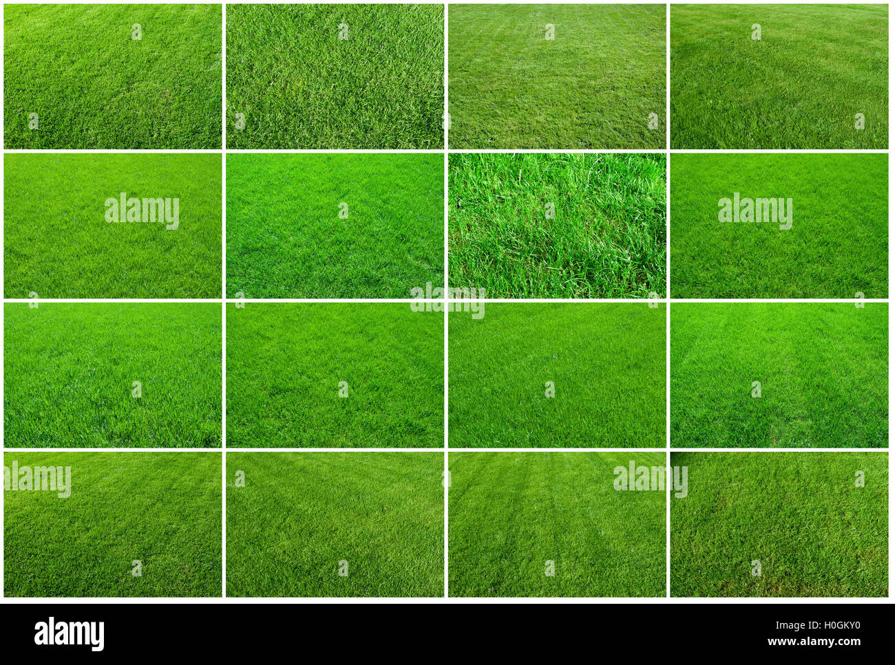 Set green grass color hi-res stock photography and images - Alamy