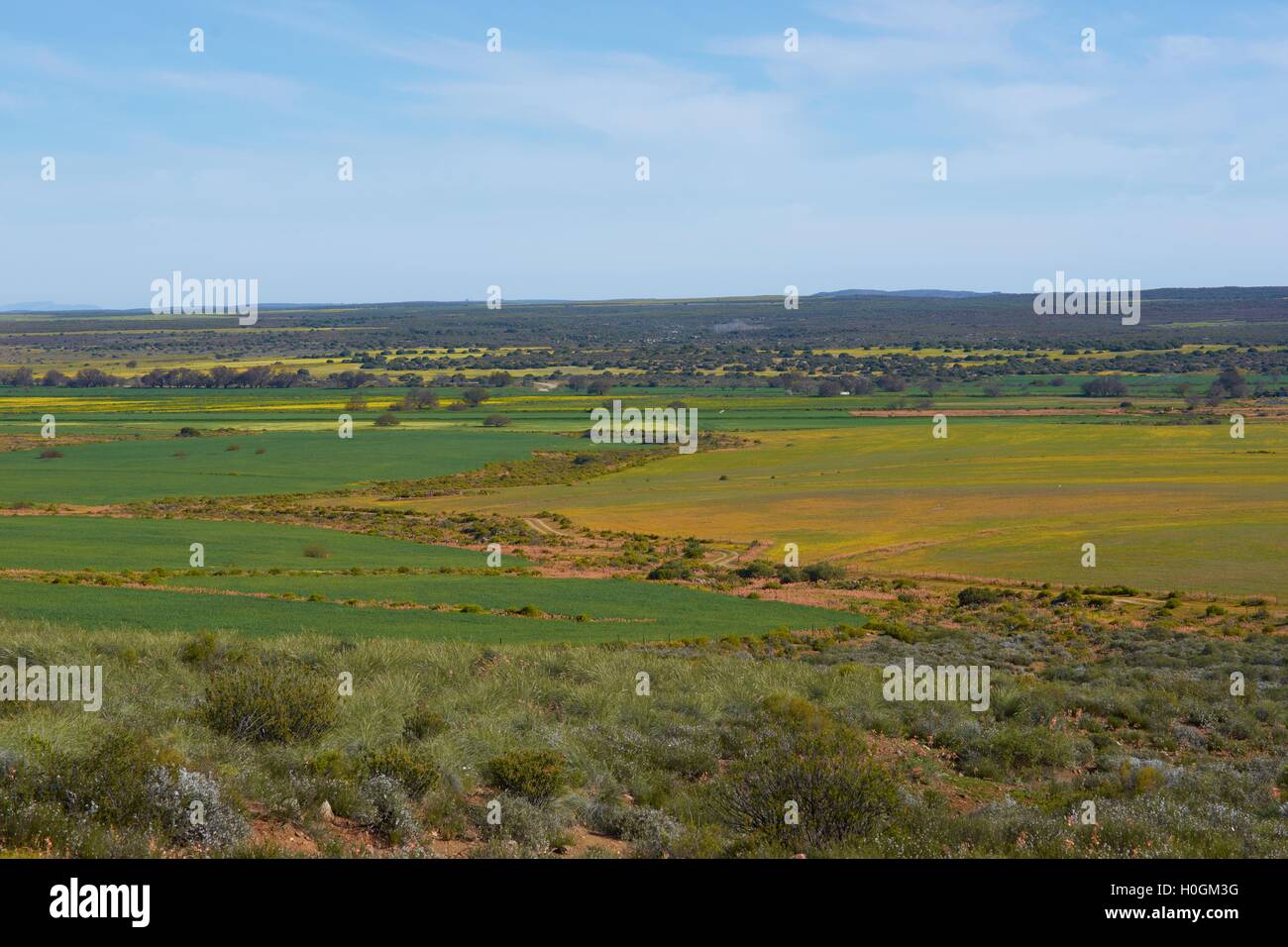 South africa northern cape farm hi-res stock photography and images - Alamy