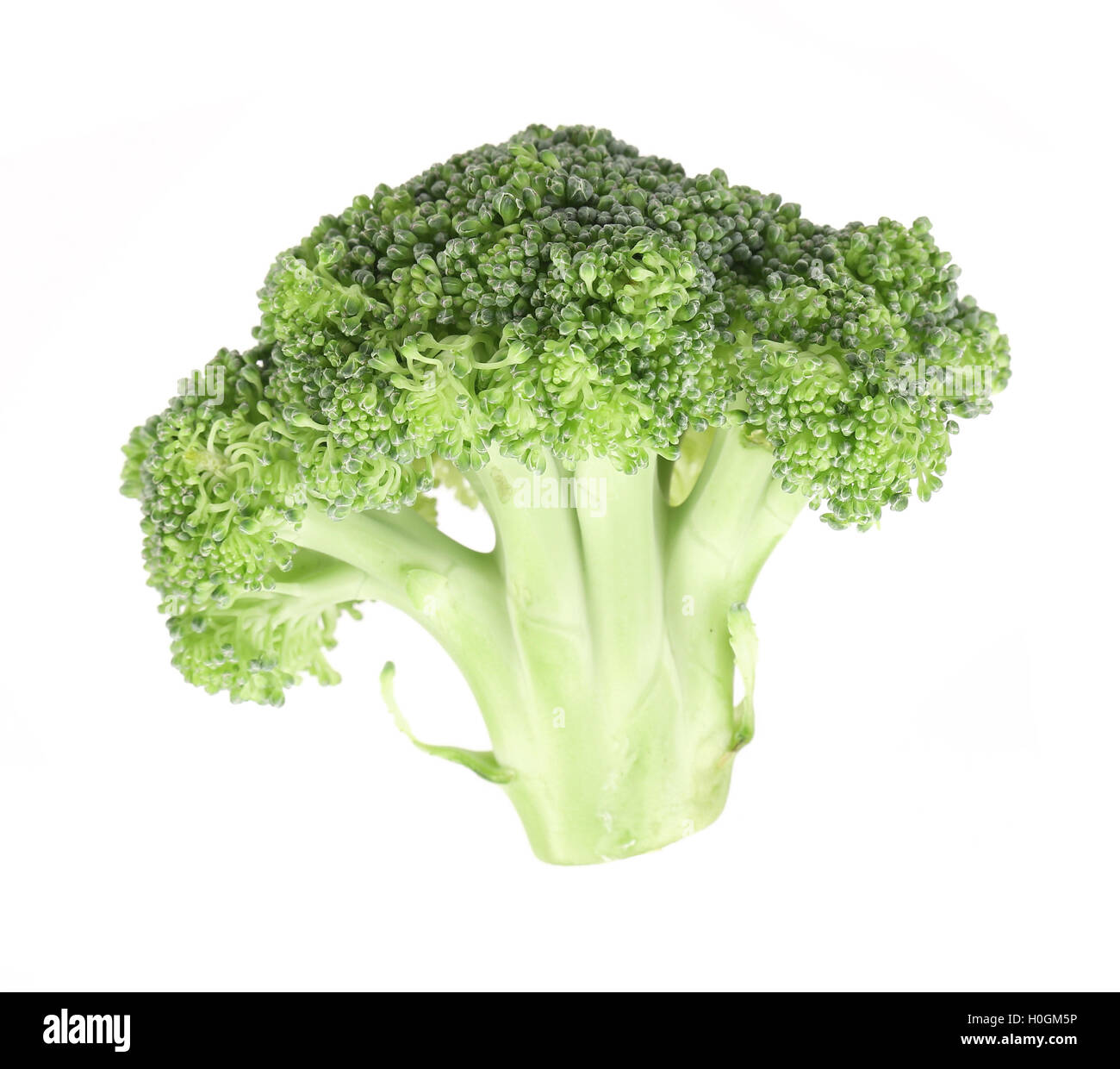 Close up of fresh broccoli Stock Photo - Alamy