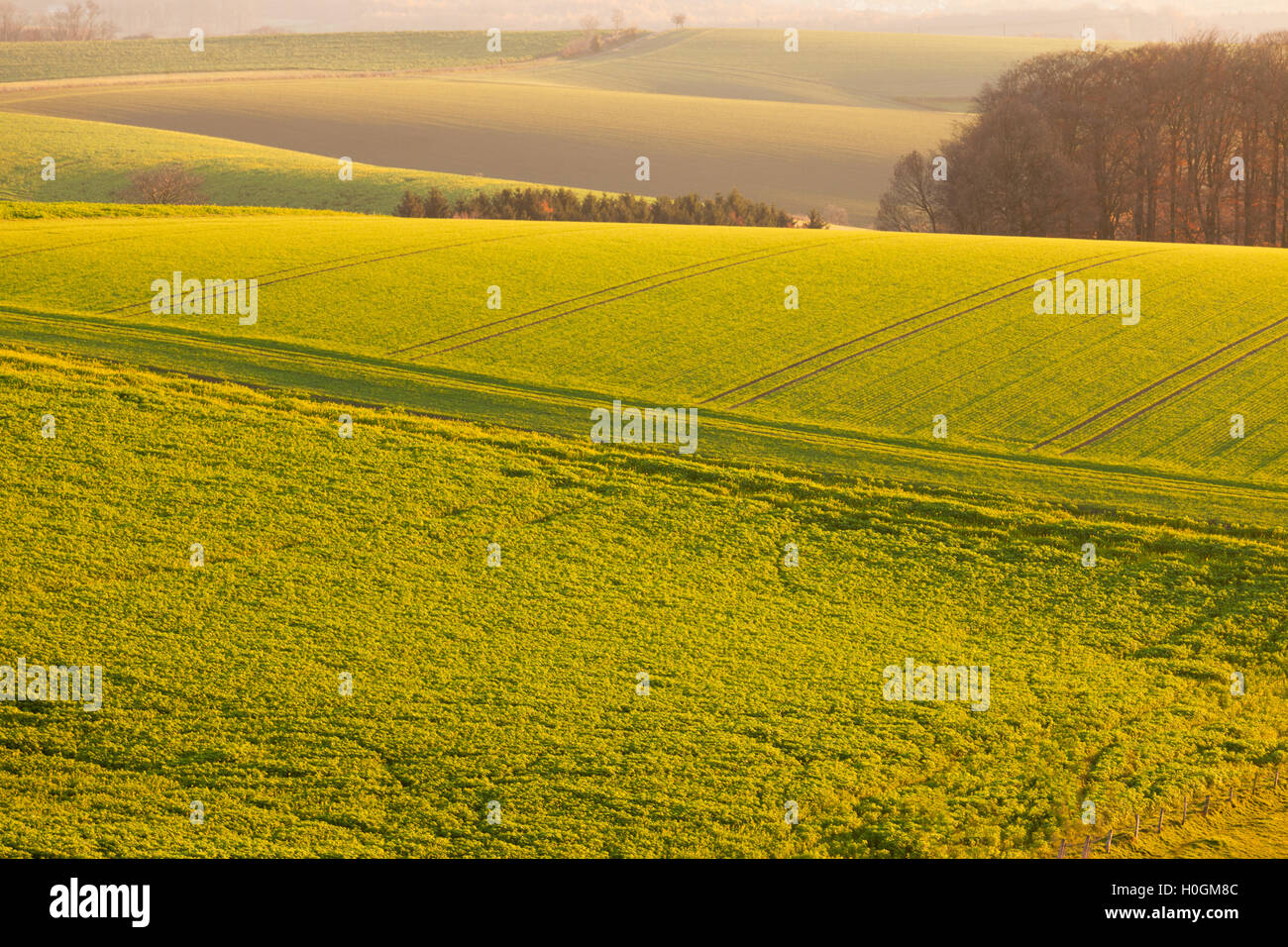 Gently rolling hills farmland of Germany Europe Stock Photo - Alamy