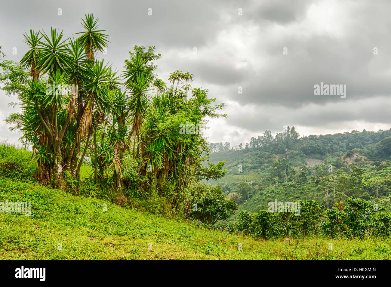 Costa Rica Landscape Stock Photo - Alamy