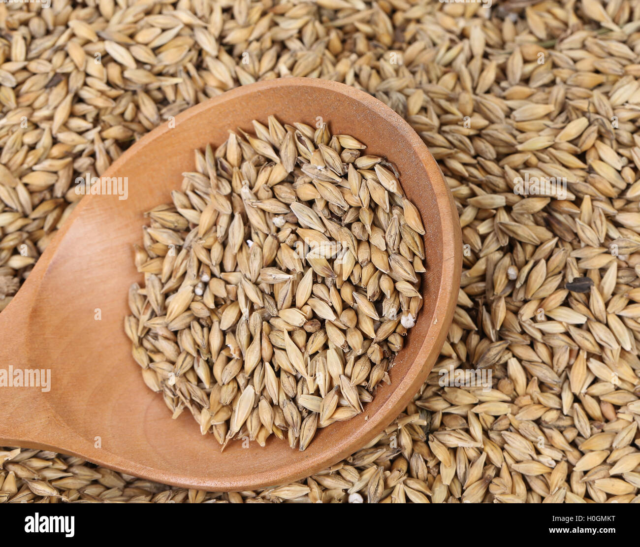 Closeup of wheat grains with wood spoon Stock Photo - Alamy
