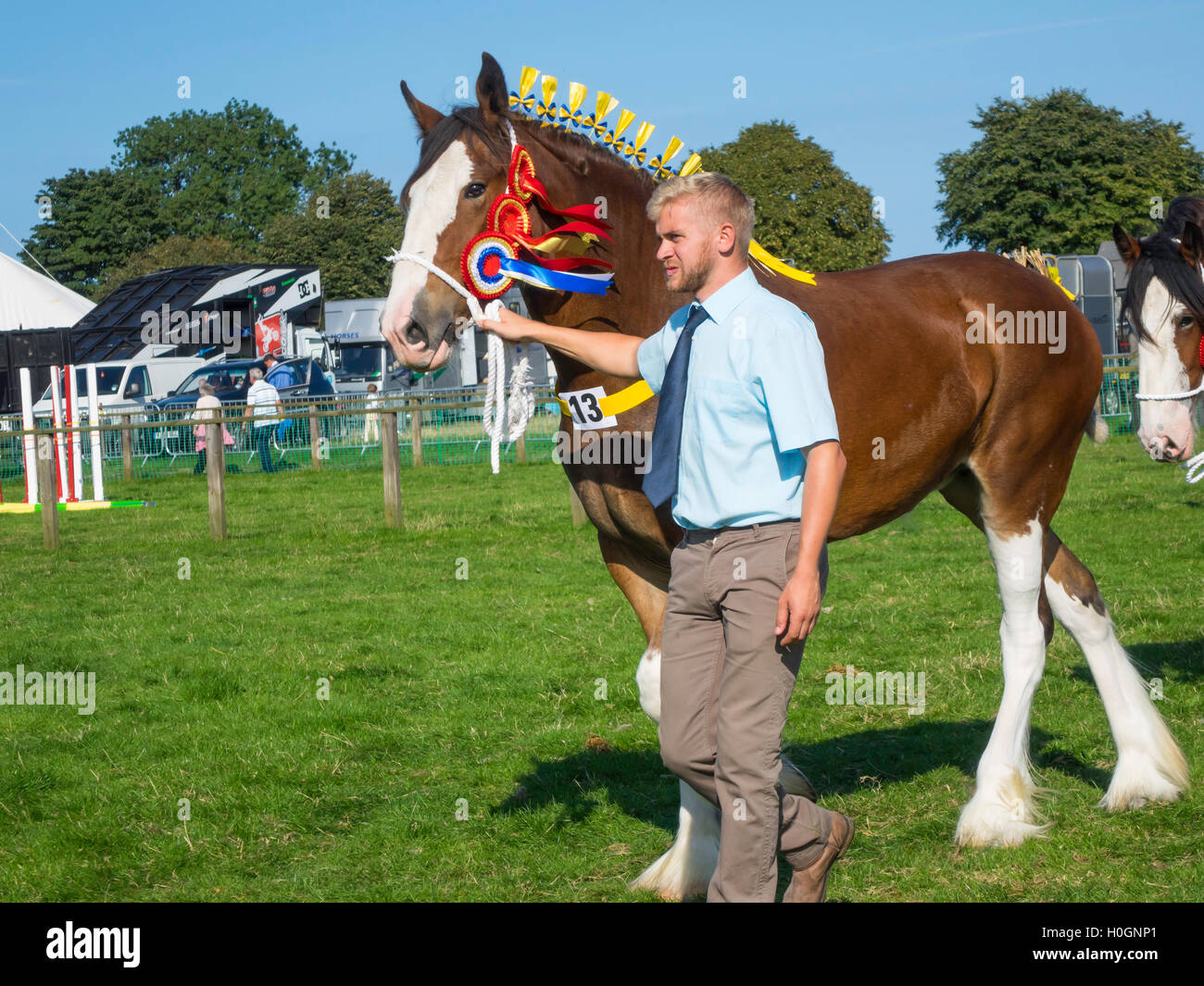 Handler leadinG a double first prize winnIng champion Heavy ...