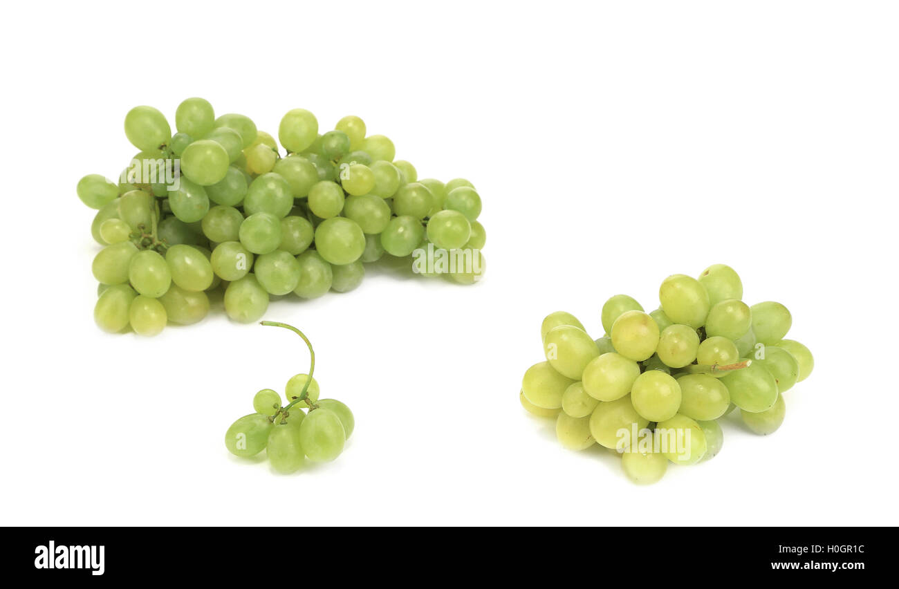 Branches of green ripe grapes Stock Photo - Alamy