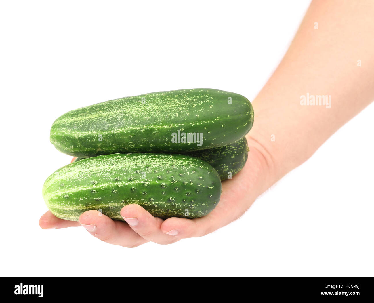 Hand holds fresh cucumbers Stock Photo - Alamy