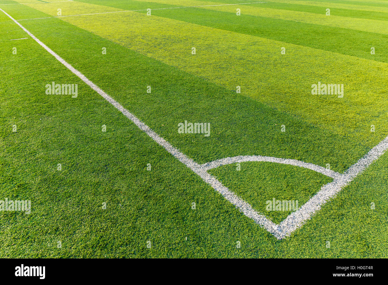 Soccer field natural grass hi-res stock photography and images - Alamy