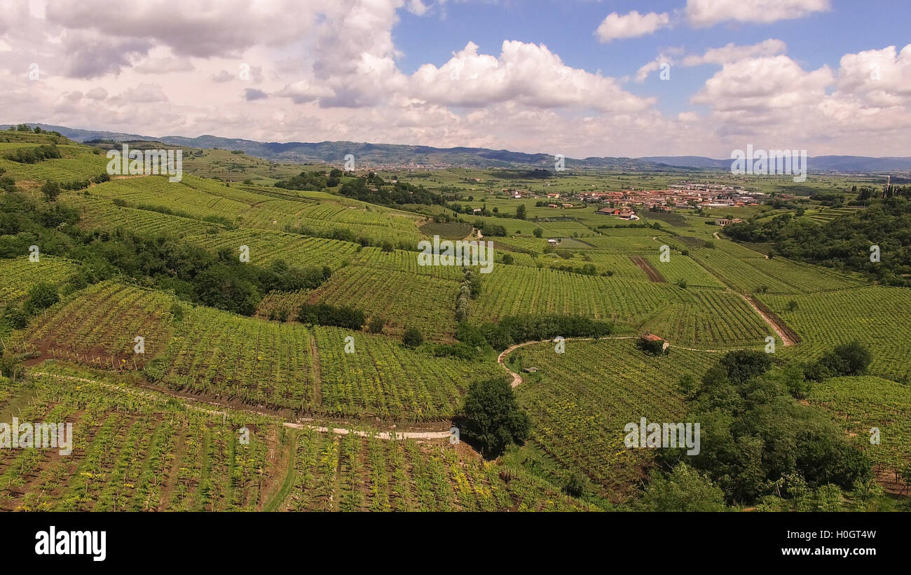Aerial view of the vineyards on the Italian hills Stock Photo - Alamy