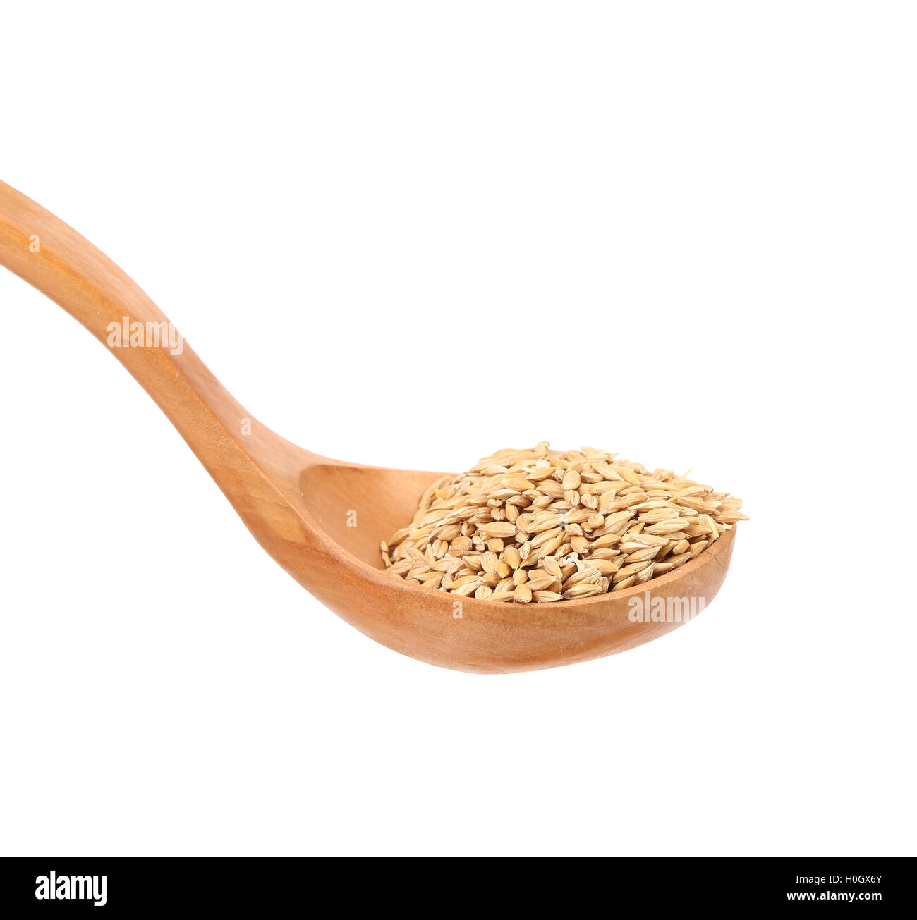 Malt grains Cut Out Stock Images & Pictures - Alamy