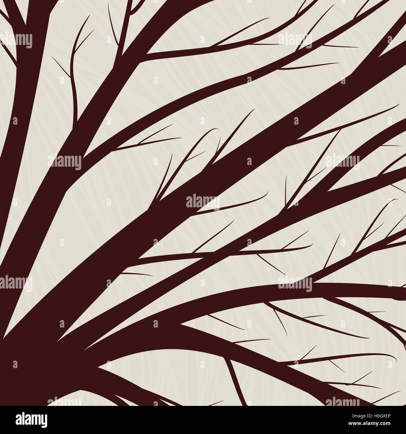 abstract backgrounds with natural elements Stock Photo - Alamy