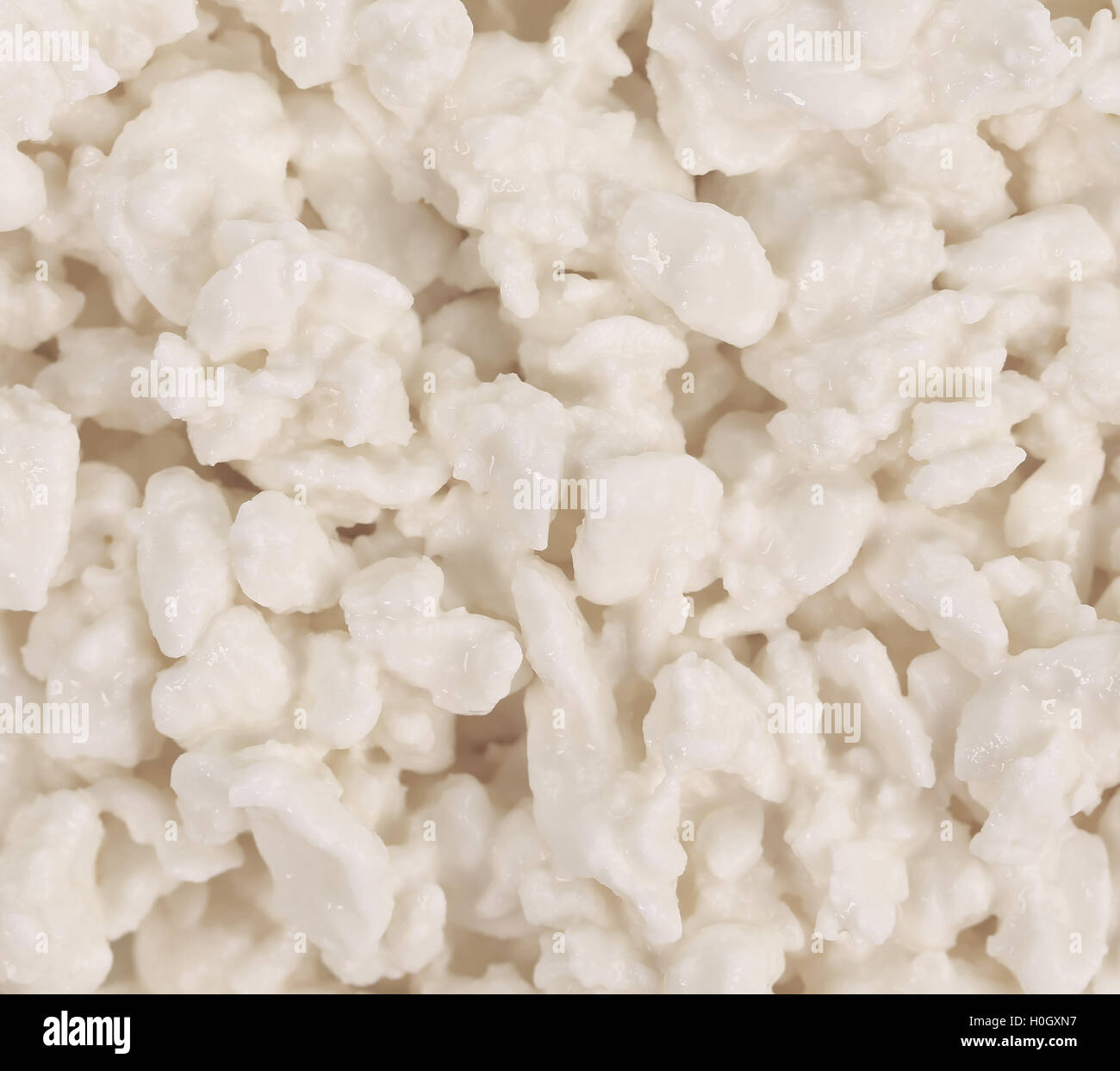 Cottage cheese close up Stock Photo - Alamy