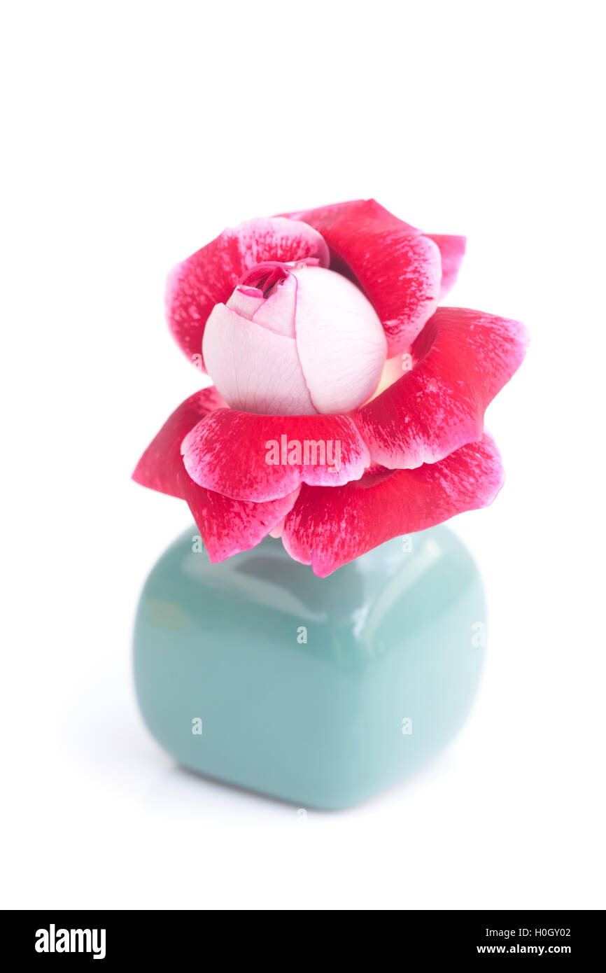 Unusual angle Cut Out Stock Images & Pictures - Alamy