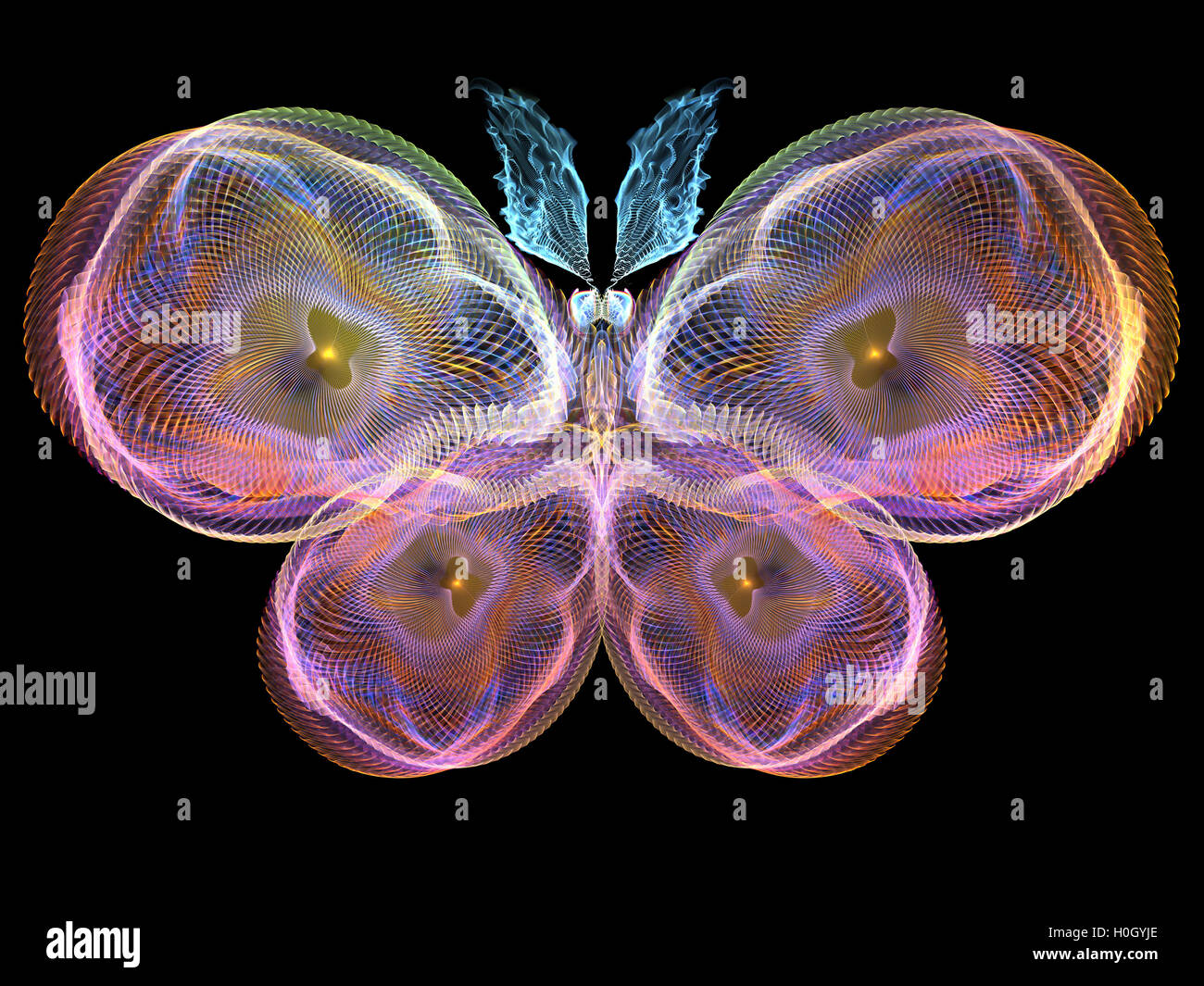 Entomology bug hi-res stock photography and images - Alamy