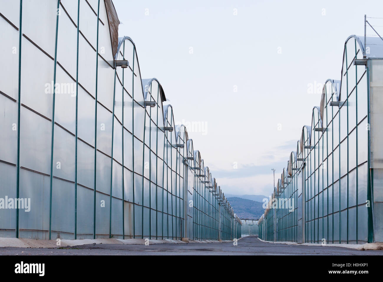 Industrial greenhouse endless glass window row Stock Photo - Alamy