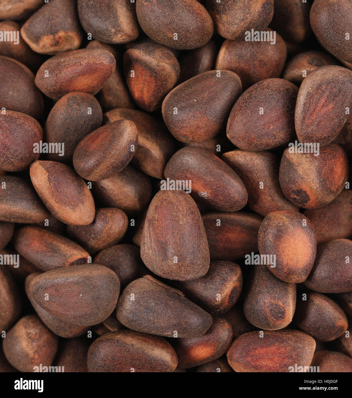 Bunch of brazil nuts Stock Photo - Alamy