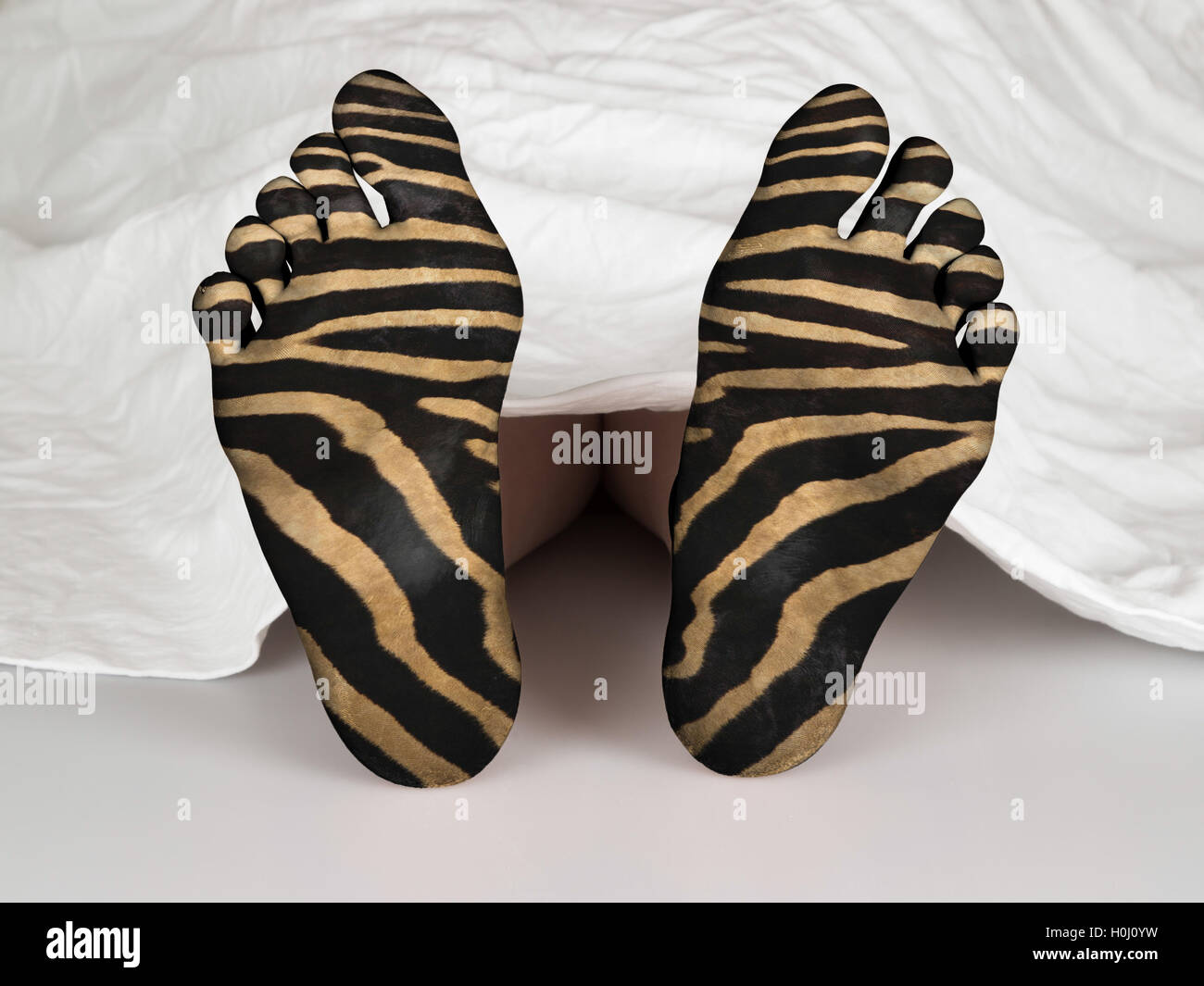 Morgue body parts hi-res stock photography and images - Alamy